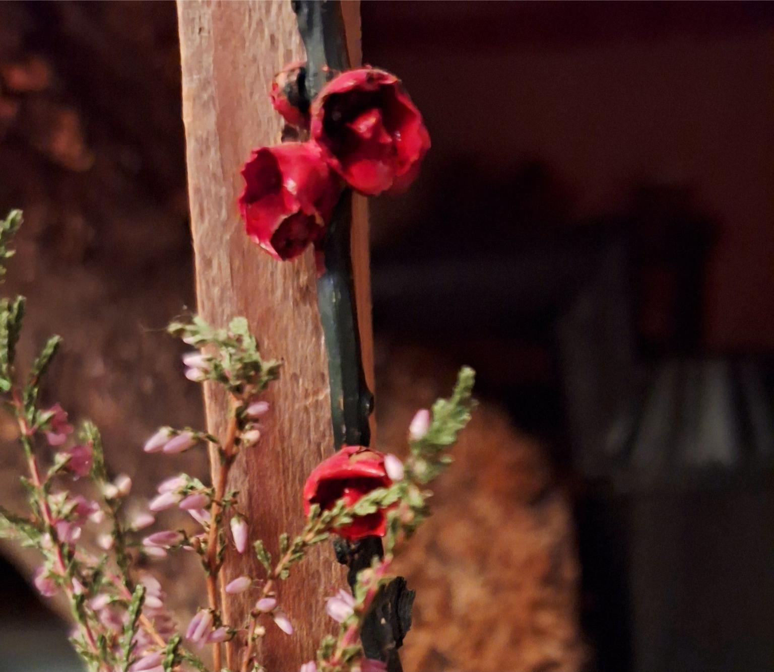 How To Create Miniature Plants And Flowers Easily Without Printables?