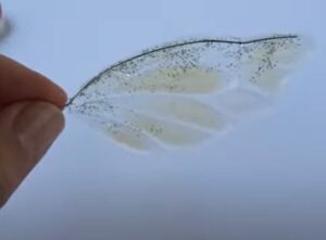 How To Make A Fairy For Your Fairy Garden In 8 Different Ways!