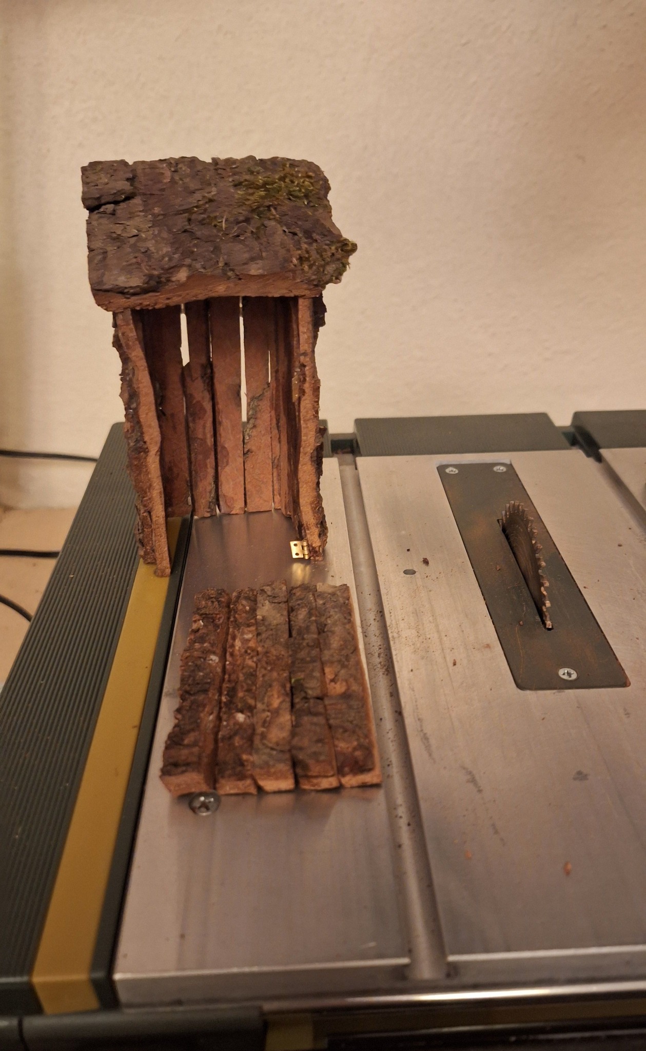 Beginner's Guide to Using a Mini Table Saw: Step-by-Step with the ...